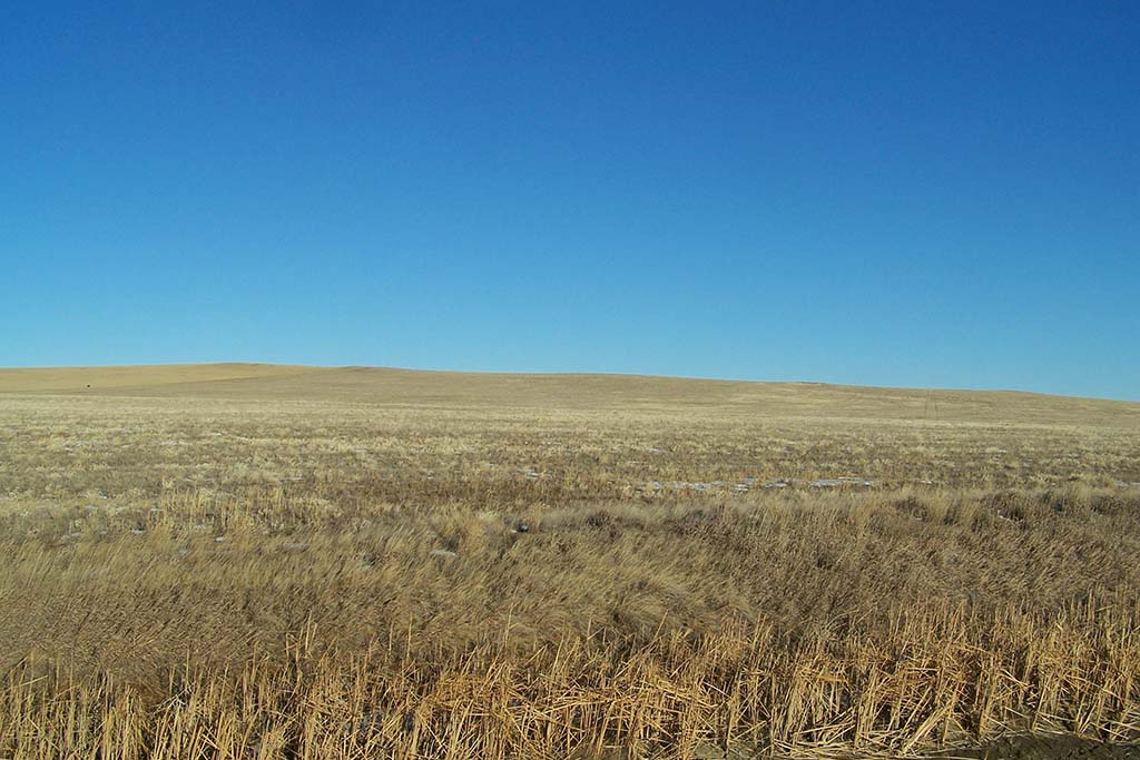Benchmark Farm- Dryland Crop - Hewitt Land Company