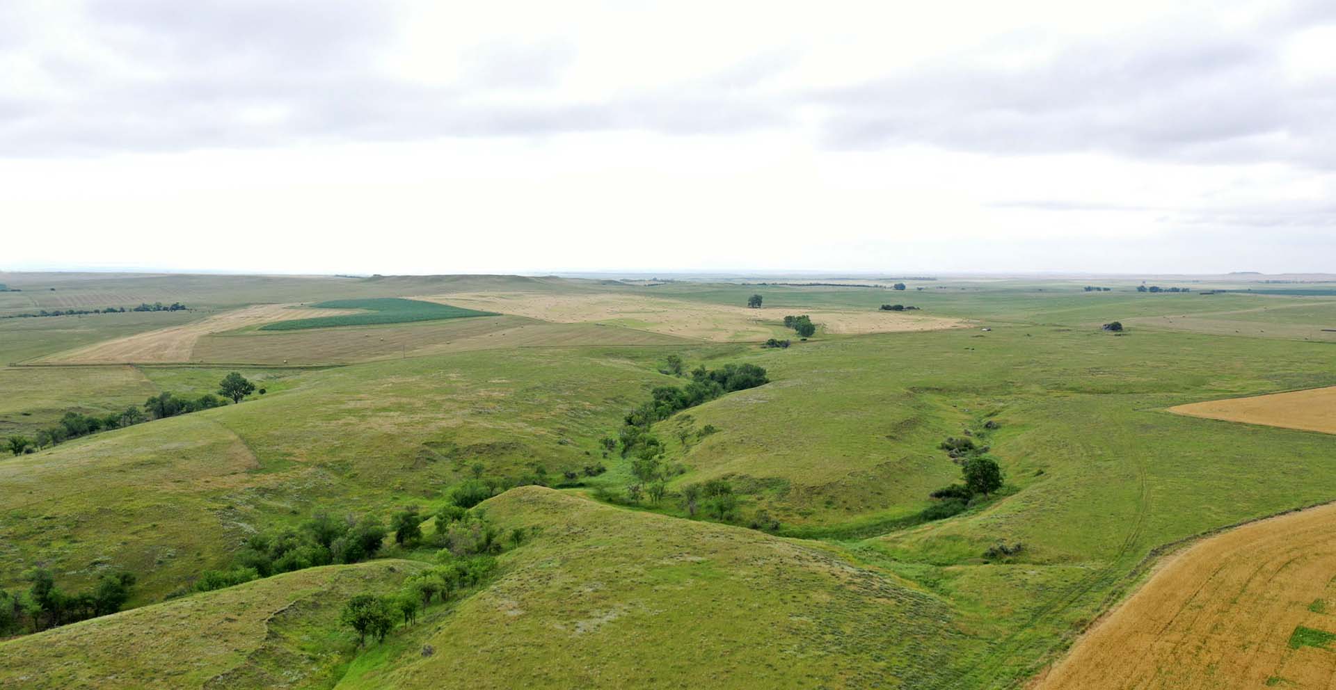 Angell Family Homestead Real Estate Auction - Hewitt Land Company
